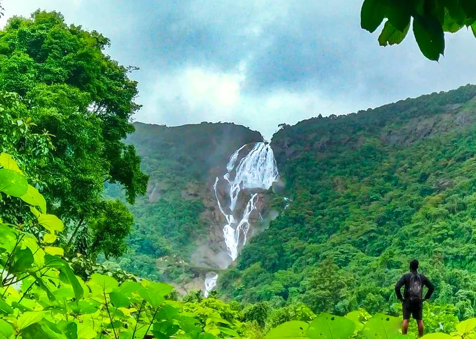 Dudhsagar Trek Online Booking | Experience the Best Waterfalls Trek in Goa